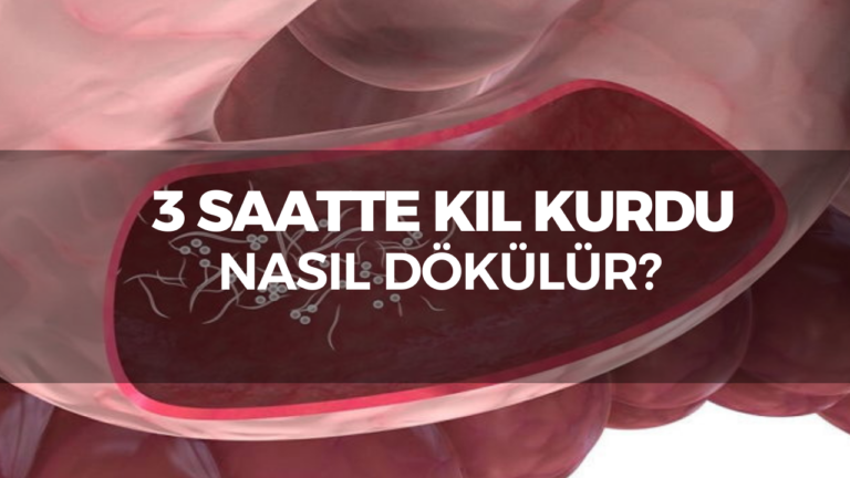 3 saatte kıl kurdu nasıl dökülür? - Yorumbilgi.com
